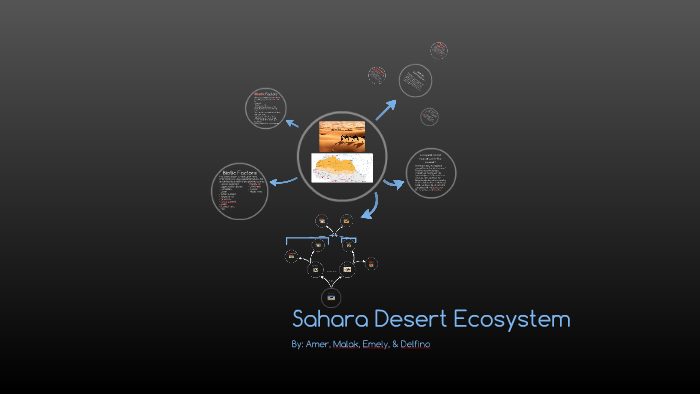Sahara Desert Ecosystem by Emely Herrera on Prezi