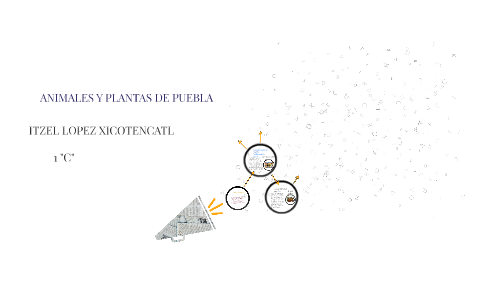 ANIMALES Y PLANTAS DE PUEBLA by Itzel L c on Prezi