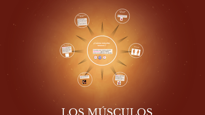 los musculos by Gabriel Falcon on Prezi