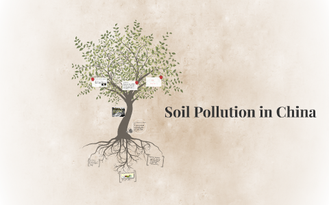 Soil Pollution in China by Mone Zhang on Prezi
