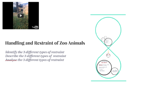 Handling and Restraint of Zoo Animals by Hayley Igbokwe on Prezi
