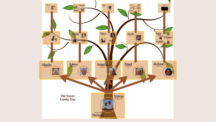 The Stacey Family Tree by Ms. Medlock on Prezi