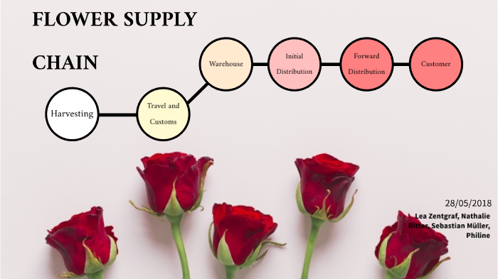 Flower Supply Chain by Sophia Faller on Prezi