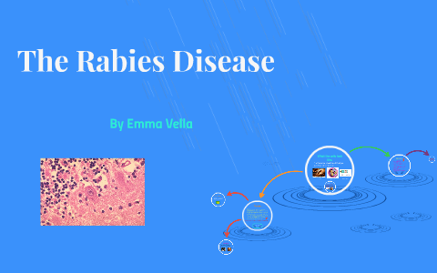 The Rabies Disease by Emma Vella on Prezi