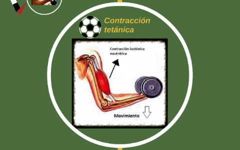 Contracción tetánica by paola triviño on Prezi