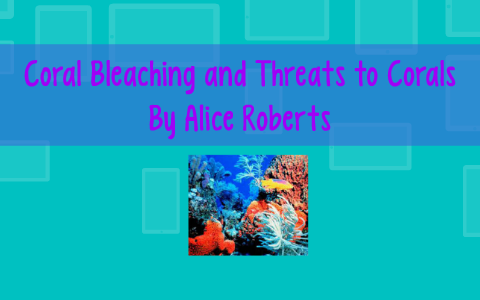 Coral Bleaching and Threats to Corals by Alice Roberts on Prezi