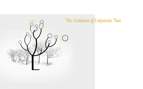 The Evolution of Calpurnia Tate by Marion Hartley on Prezi
