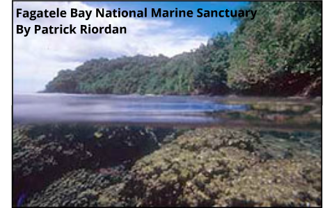 Fagatele Bay National Marine Sanctuary by Patrick Riordan on Prezi