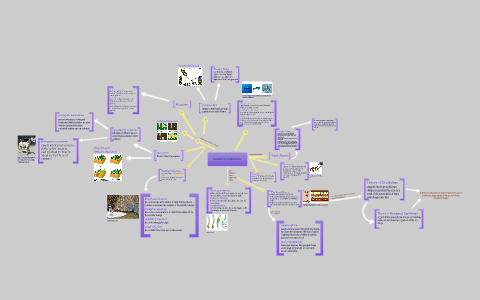 Evolution Mind Map by Soraya Naghavi