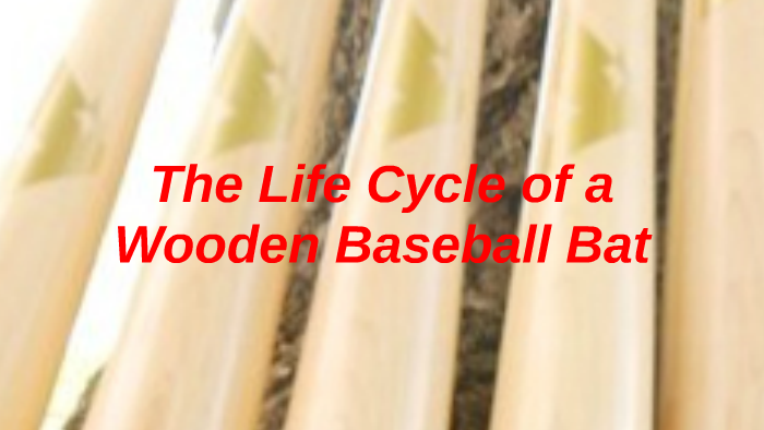 The Life Cycle Of A Wooden Baseball Bat by Kaylib Peeples on Prezi