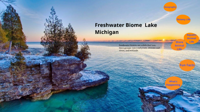 BIOME Lake Michigan by Lance Yetikyel on Prezi
