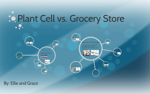 Plant Cell vs. Grocery Store by Stephani Brolonco on Prezi