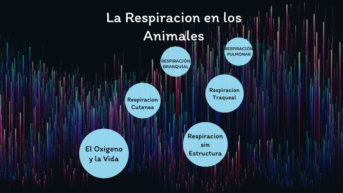 La Respiracion de los Animales by Miguel G. Parra Tumbillo on Prezi