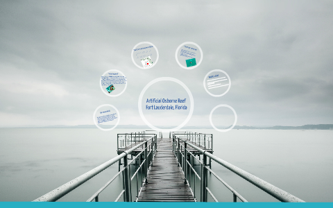 aquatic science, Artificial Osborne Reef off Fort Lauderdale by ...