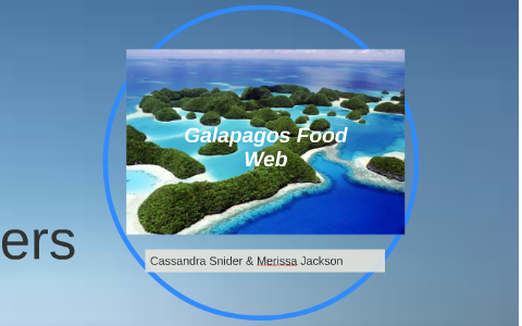 Galapagos Food Web by Merissa Jackson on Prezi
