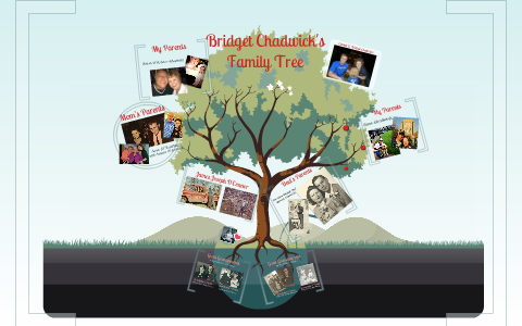 Family Tree by bridget chadwick