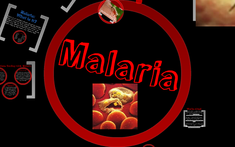 Malaria by Samira Hashi