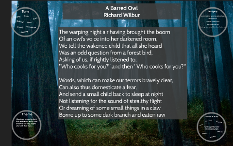 A Barred Owl by Haley Austin on Prezi