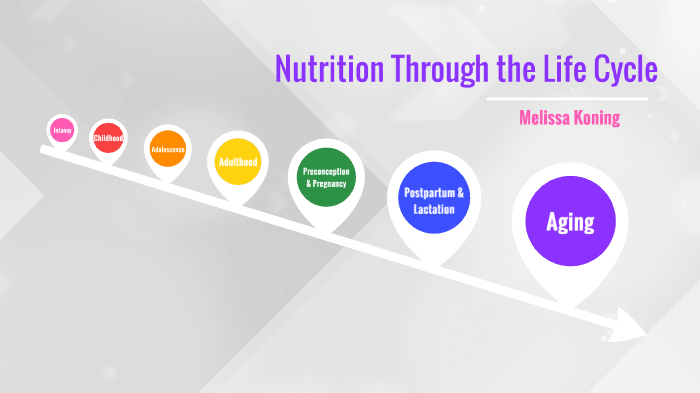 Nutrition Through the Life Cycle by Melissa Koning on Prezi