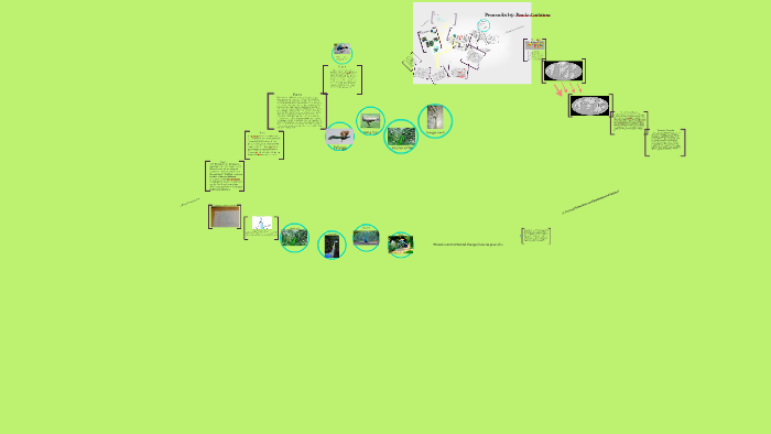 Peacocks by: Paola Carisma by Paola Carisma on Prezi