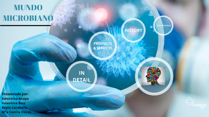 MUNDO MICROBIANO by Valentina Baiz on Prezi