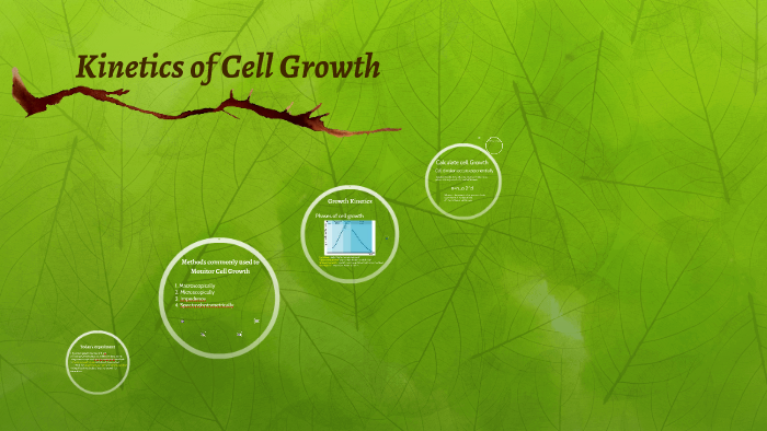 Kinetics of Cell Growth by Dianne Kirk on Prezi