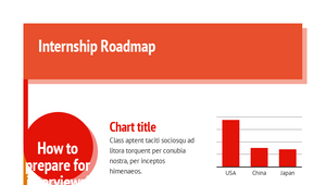 Internship Roadmap by Elena Lenyo on Prezi Design