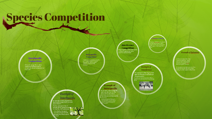 Species Competition by jason mendoza on Prezi