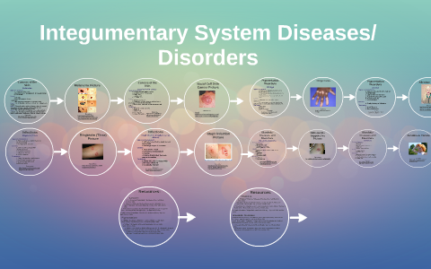 Integumentary System Diseases/Disorders by on Prezi