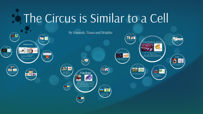The Circus is Similar to a Cell by Hannah Fuoco on Prezi