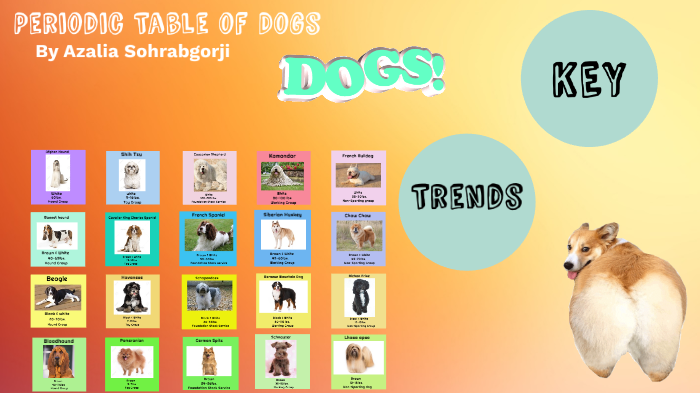 Periodic Table of Dogs by AZALIA SOHRABGORJI on Prezi