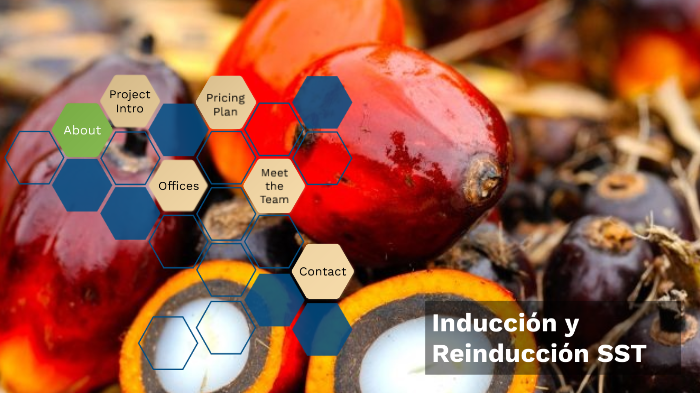 Inducción y Reinducción SST by brexp xxx on Prezi