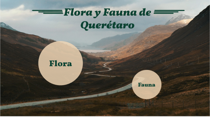 Flora y Fauna de Queretaro by Patrizio Rodríguez on Prezi