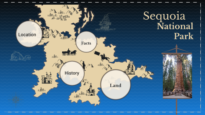 Sequoia national park by Piper Lamb on Prezi