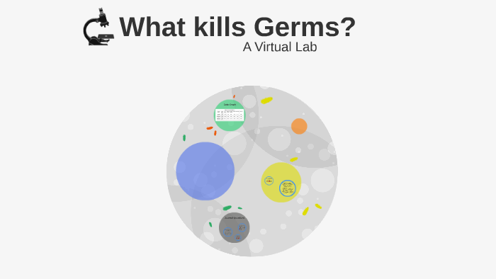 What kills Germs? by Lucia Plunkett on Prezi