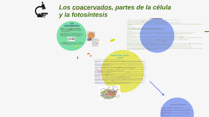 LOS COACERVADOS by RAZEL GONZALEZ on Prezi