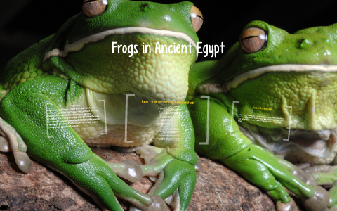 Frogs in Ancient Egypt by sonia kall on Prezi