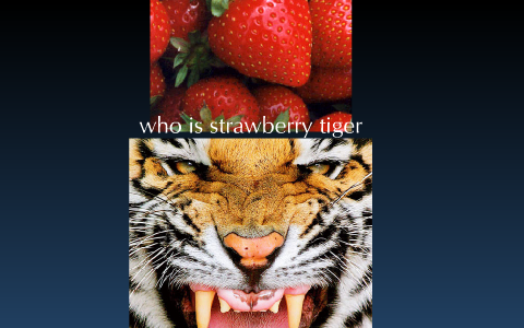 Who Is Strawberry Tiger? by Seung Hwang on Prezi