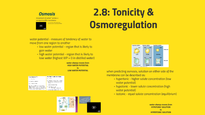 2.8: Tonicity & Osmoregulation by Kimberly Christian on Prezi