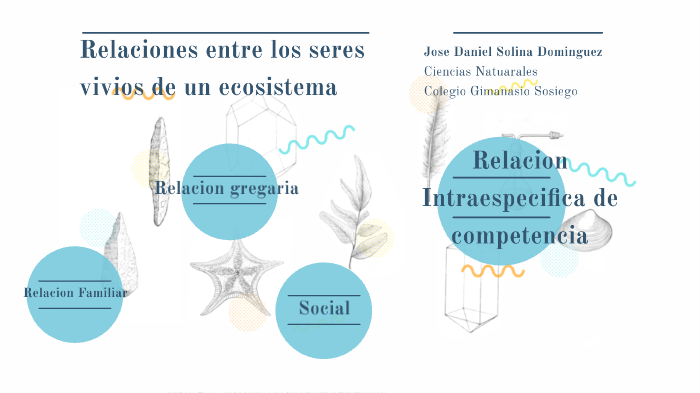 Relaciones entre los seres vivos by Jean Sebastian Solina Dominguez on ...