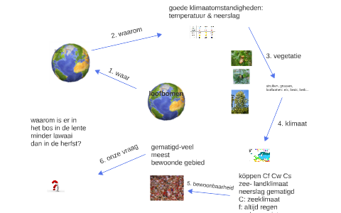 loofbomen by stijn versluis on Prezi