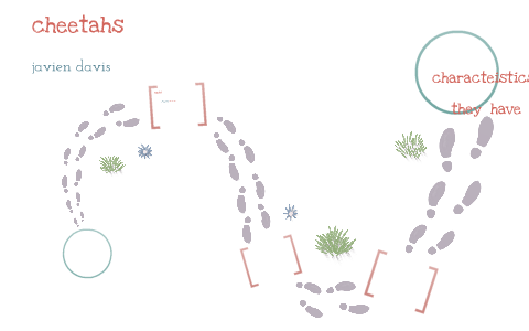 cheetah by Lisa Brumfield on Prezi