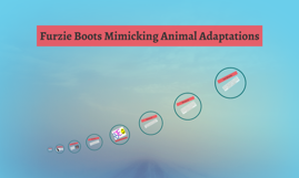 Furzie Boots Mimicking Animal Adaptations by Olivia Gasior on Prezi