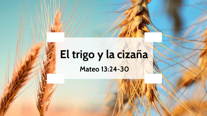 El trigo y la cizaña by Anita E Plaza on Prezi