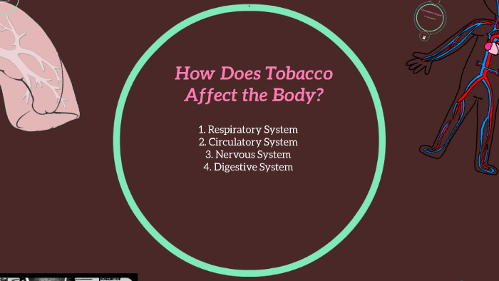 How Does Tobacco Affect the Body? by Brooke H. on Prezi