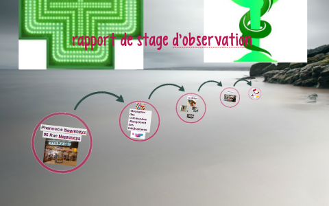 rapport de stage d'observation by manon vergne on Prezi