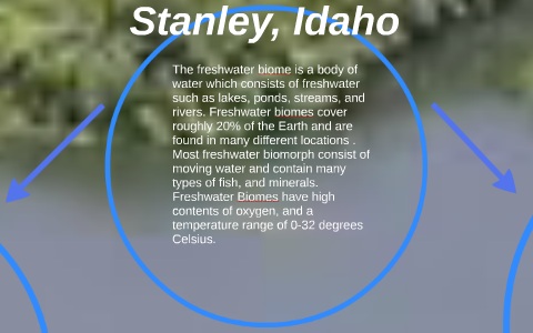 Freshwater Lake by Hayden Cowden