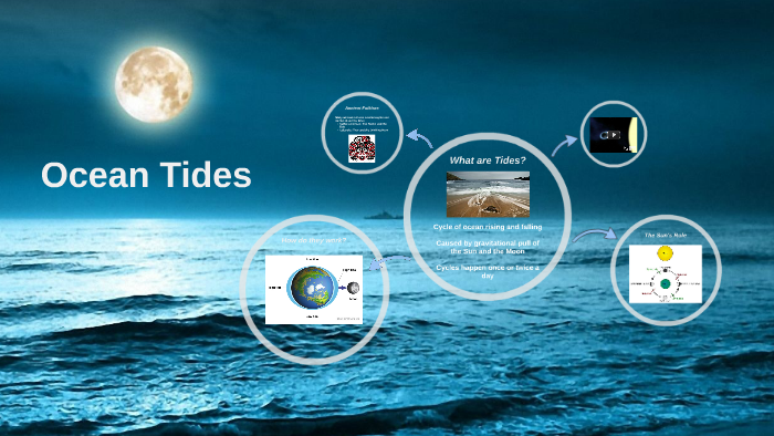 How do Tides Work? by Megan Wachtendonk on Prezi