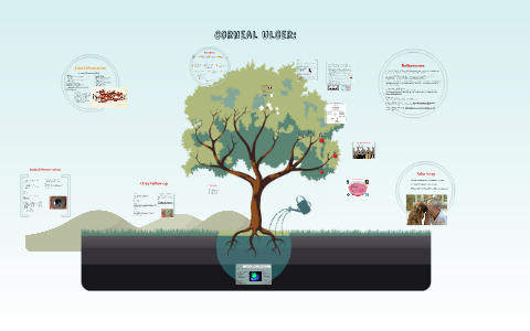Corneal Ulcer: by scott sakata on Prezi