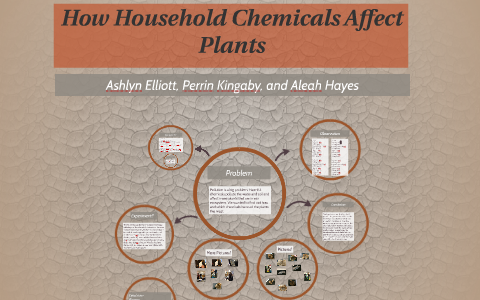How Chemicals Affect Plants by Ashlyn Elliott on Prezi